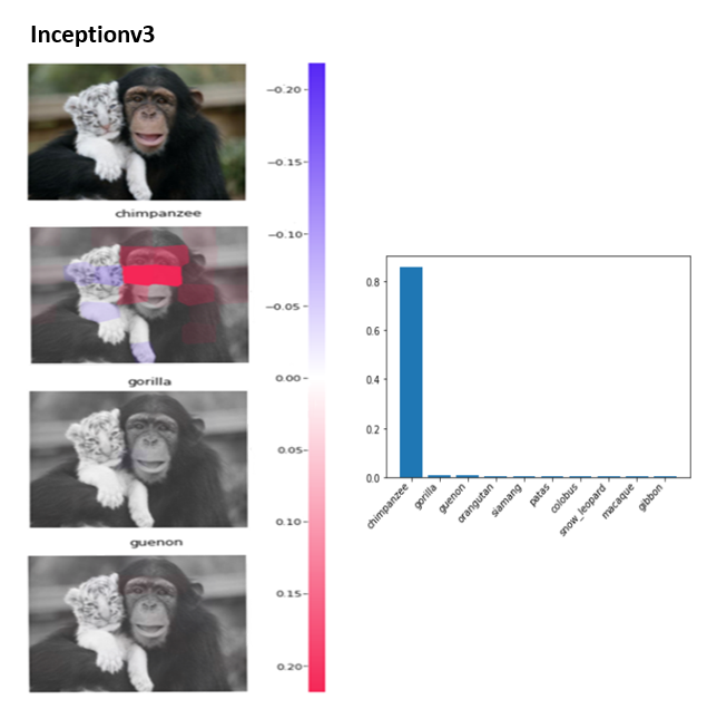 GitHub - SAAF-16/Explainable_AI-Bachelor_Thesis