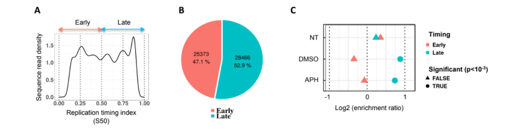 GitHub - sravankodali/fenglab: Code dump for epigenomics research @ Feng Lab