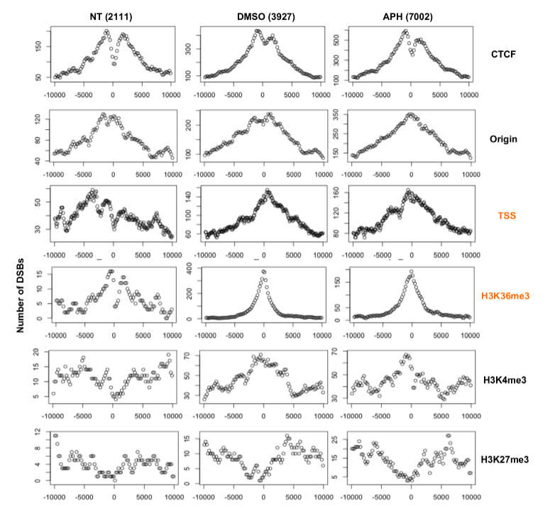 GitHub - sravankodali/fenglab: Code dump for epigenomics research @ Feng Lab