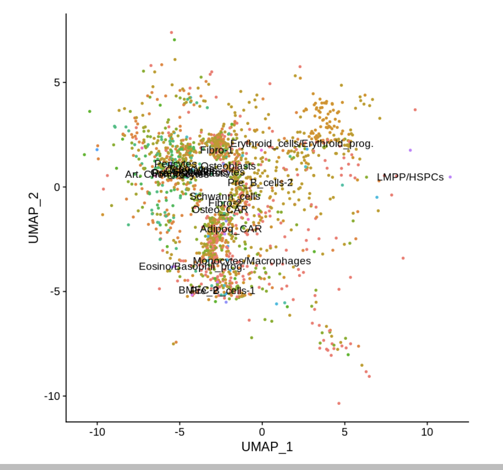Problem on project qurey on reference UMAP · Issue #6928 · satijalab/seurat · GitHub