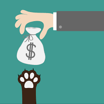 GitHub - b30wulf/TradingCat: Trading Cat is an AI-powered automated ...