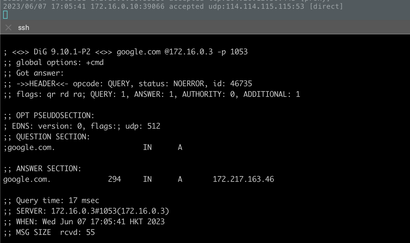关于在配置 V2Ray 做 DNS 服务器过程中引出的问题 · Issue #751 · v2ray/discussion · GitHub