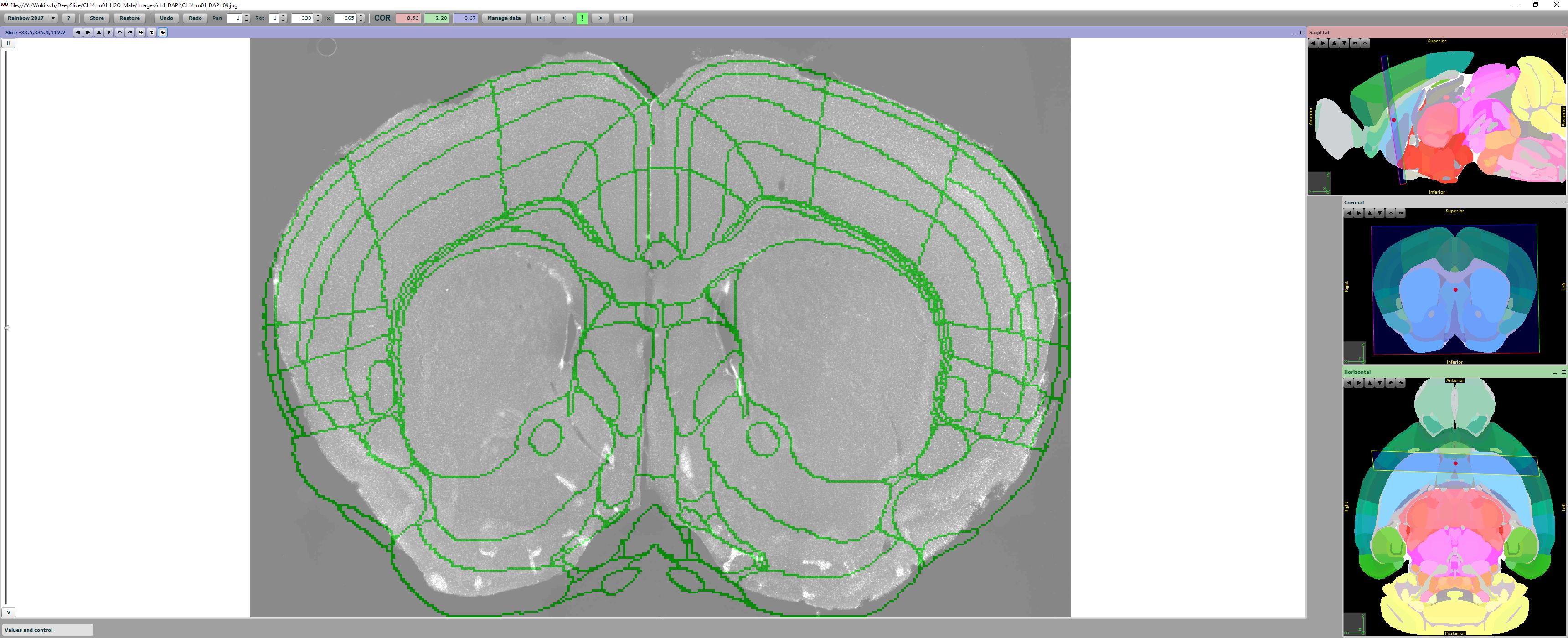 Alignment Problems · Issue #8 · PolarBean/DeepSlice · GitHub