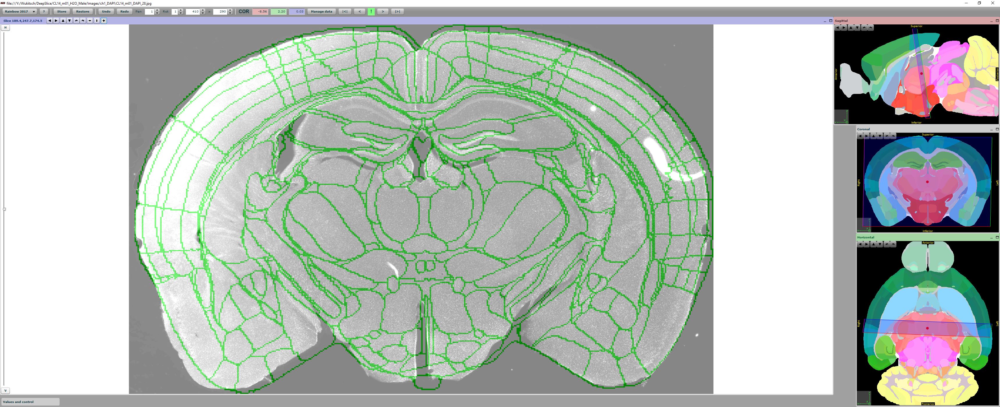 Alignment Problems · Issue #8 · PolarBean/DeepSlice · GitHub