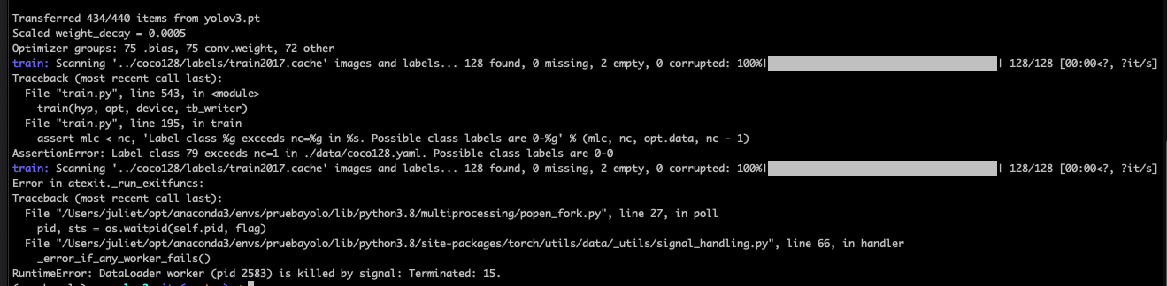 RuntimeError: DataLoader worker · Issue #1771 · ultralytics/yolov3 · GitHub