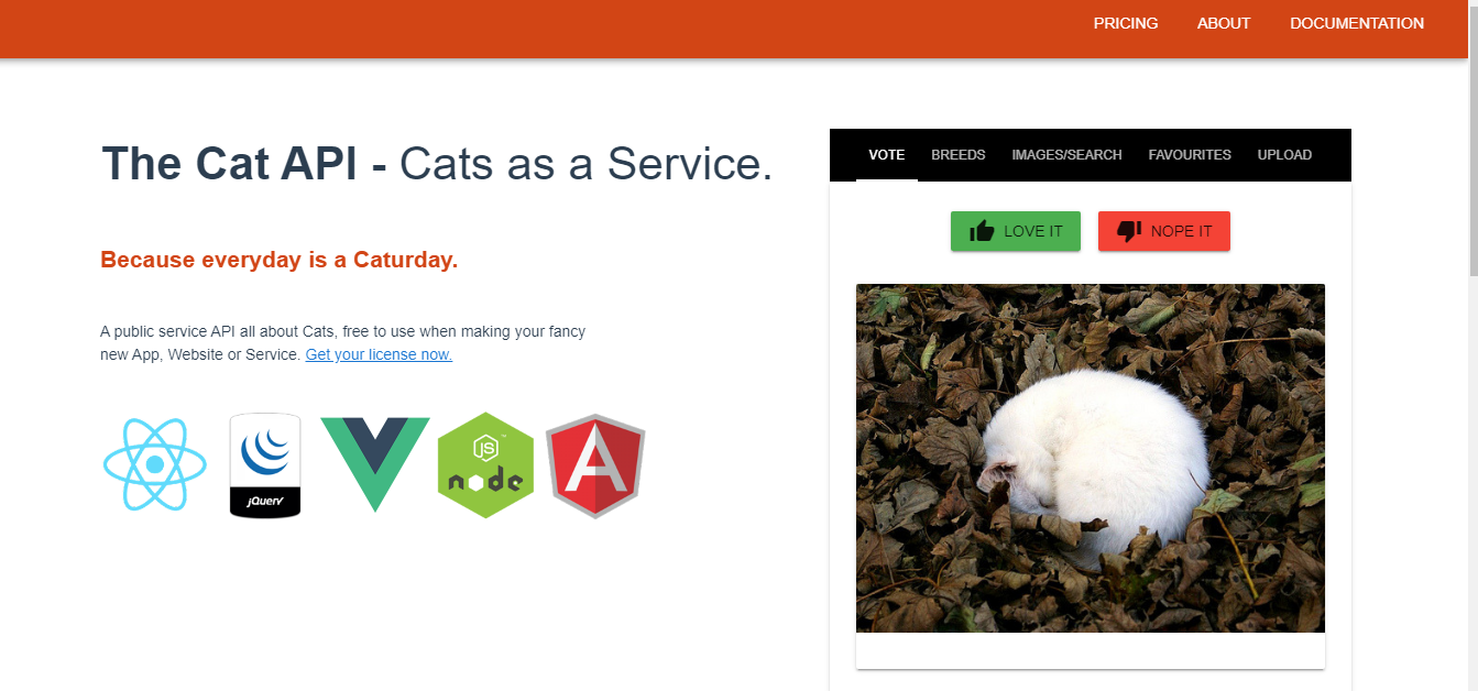 GitHub - michaelcaxias/app-de-gatos: Este projeto foi produzido ...