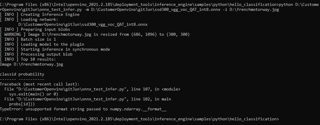 [ RuntimeError: Conversion is not possible ] while loading SSD onnx model exported by nncf ...