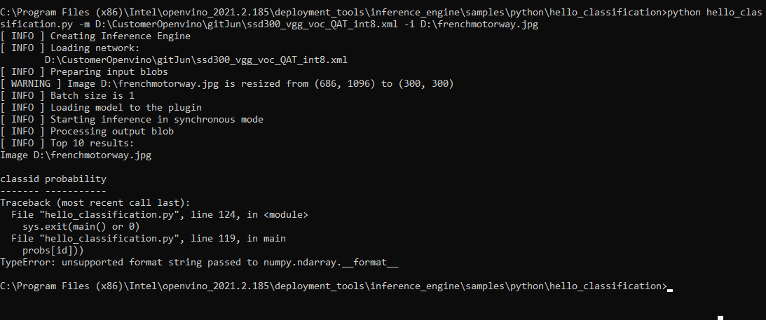 [ RuntimeError: Conversion is not possible ] while loading SSD onnx model exported by nncf ...