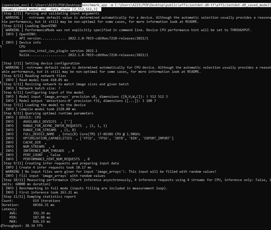 [Bug] Failure to convert EfficientDet-D0 TF model to IR with input_size (NHWC) containing N > 1 ...