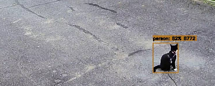 Cats and cars detected as person · blakeblackshear frigate · Discussion ...