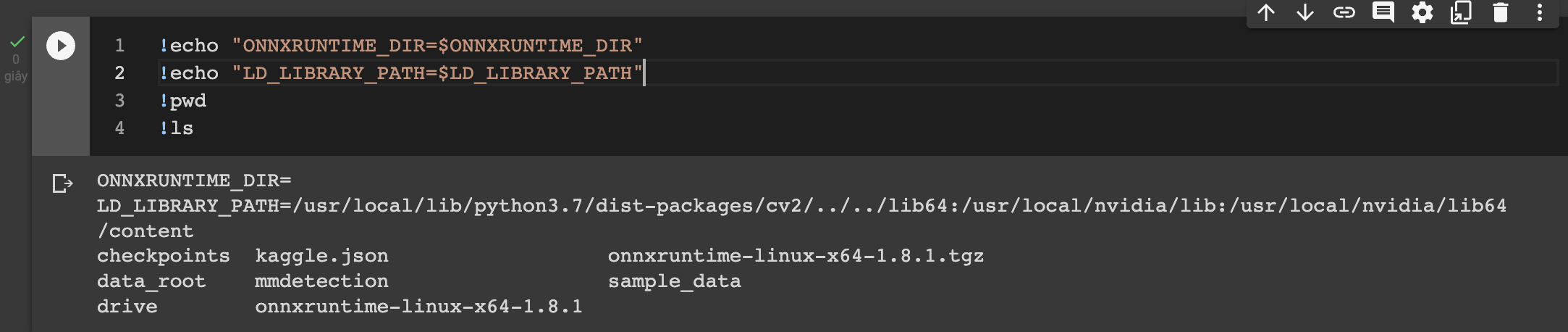 Fail [onnxruntimeerror] 1 Fail Libonnxruntime So 1 8 1 Cannot Open Shared Object File