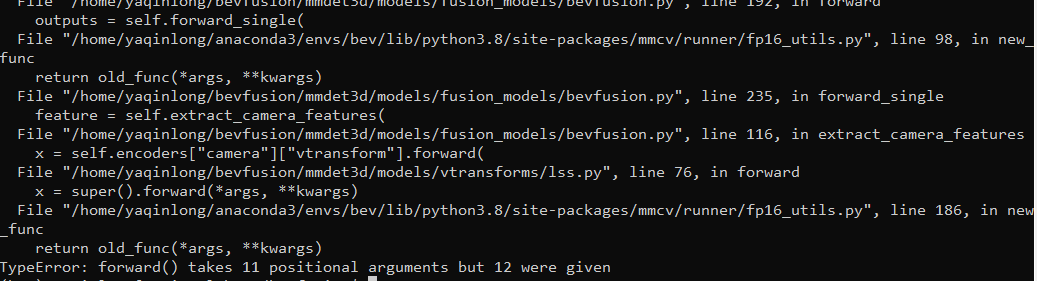 Something Wrong with vtransforms · Issue #364 · mit-han-lab/bevfusion · GitHub