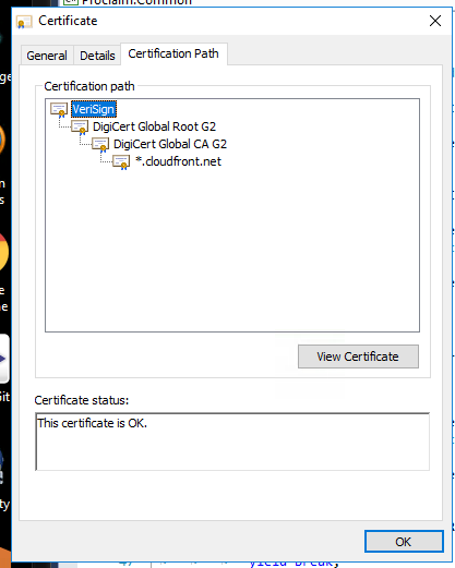 Canceled sub-resource requests from CEF due to invalid CloudFront ...