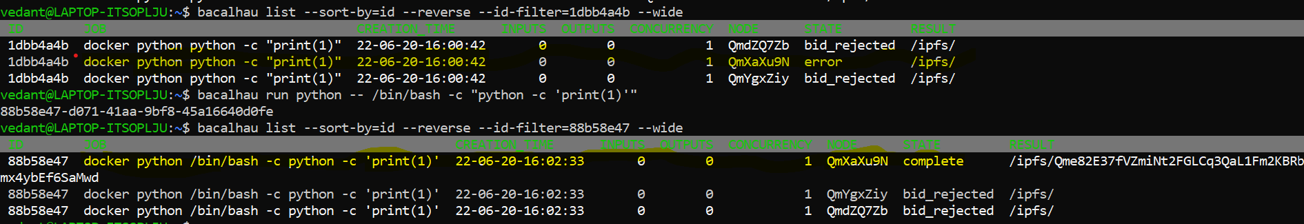 python/any commands don't work directly specified in bacalhau '--' command option · Issue #266 ...