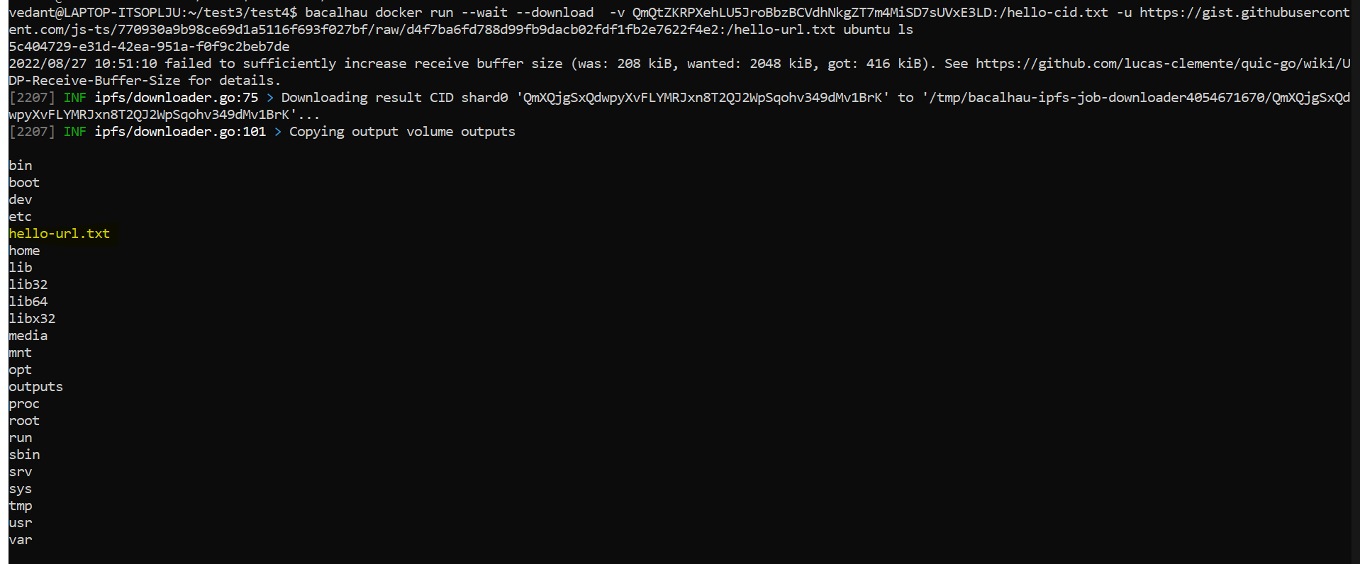 -v and -u flags don't work together · Issue #533 · bacalhau-project/bacalhau · GitHub