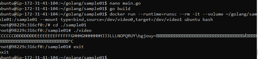 Mapping videoloop back using typ=bind .Gofer throws no FD? · Issue #7007 · google/gvisor · GitHub