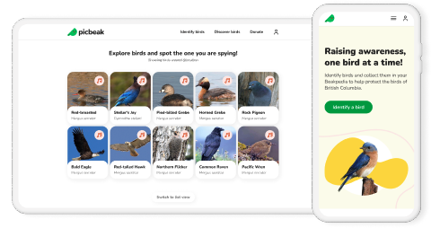 Gavriil84 (Gabriel) · GitHub