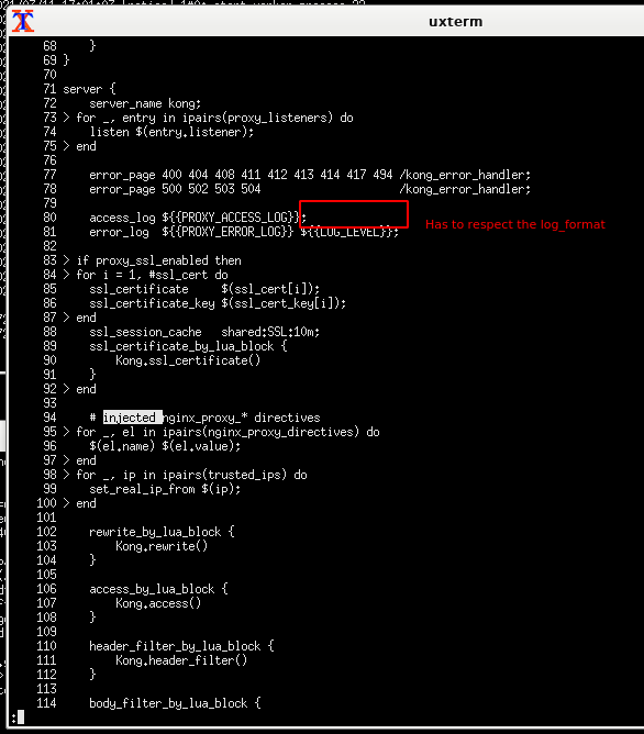 double access_log entries when using KONG_NGINX_PROXY_ACCESS_LOG variable · Issue #6915 · Kong ...