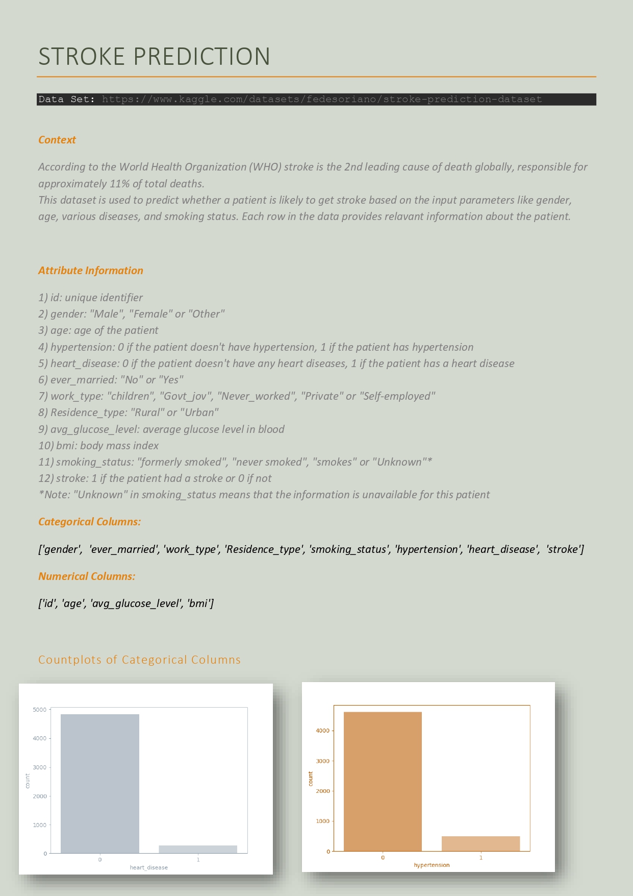 GitHub - zeynpaktasli/StrokePrediciton: Stroke prediciton with EDA, feature engineering, model ...