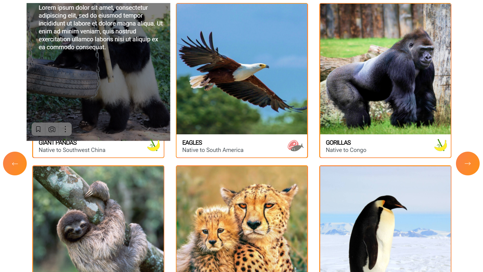 GitHub - chspeth/online-zoo: Educational project Online Zoo