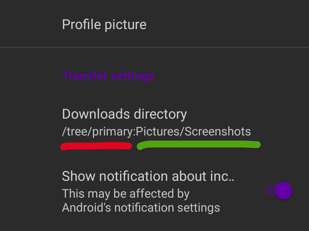 Allow to see what is the default download path · Issue #41 · slowscript/warpinator-android · GitHub