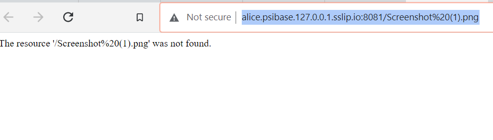 Filenames with spaces are not being served · Issue #152 · gofractally/psibase · GitHub