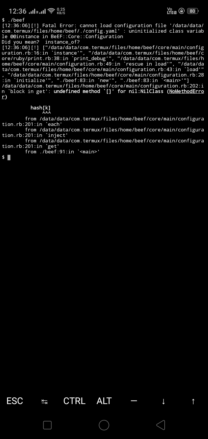 TERMUX · Issue #2331 · beefproject/beef · GitHub