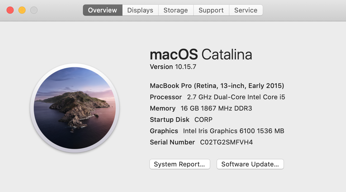 endless verification of syncing work when update to postman v8.0, not able to update to v8.0 ...