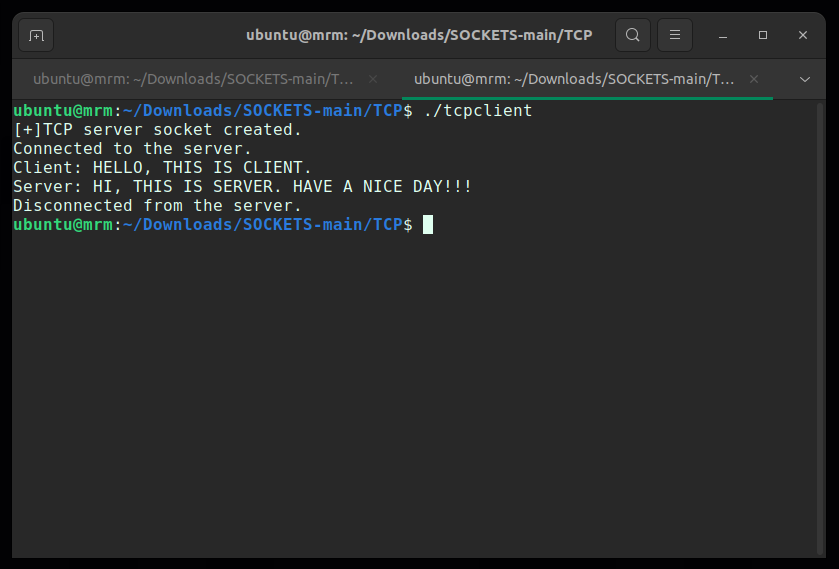 GitHub - Meriembssh/TP-NETWORKS-2022