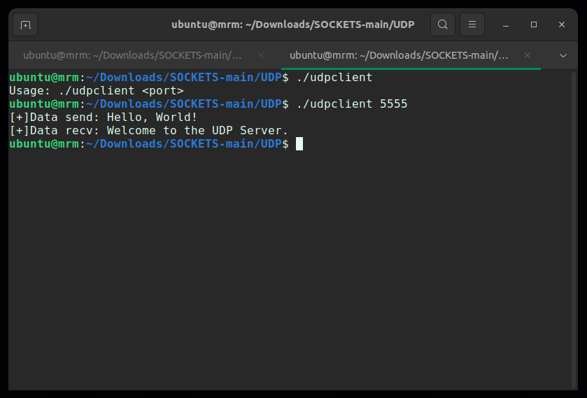 GitHub - Meriembssh/TP-NETWORKS-2022