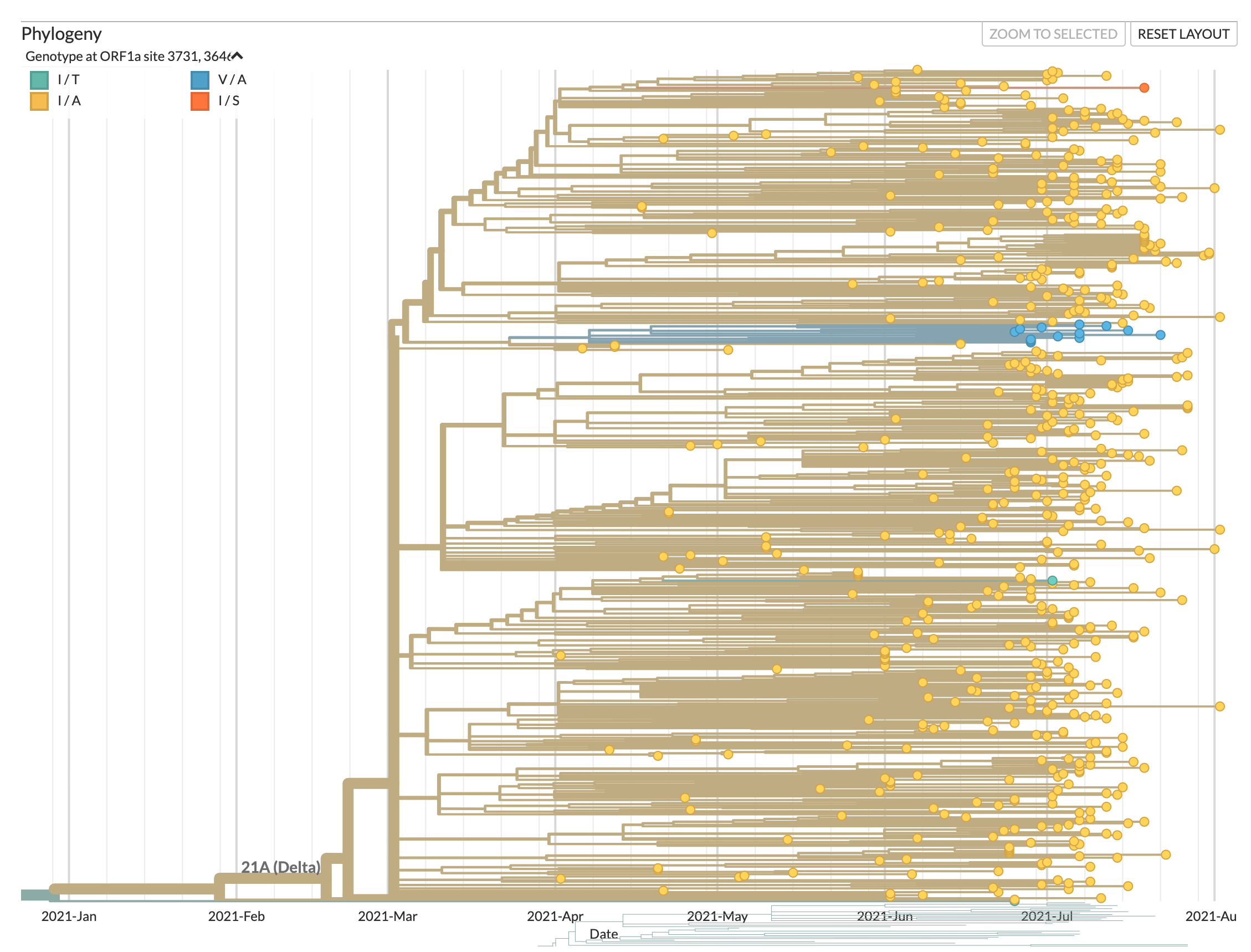 Potential Incorrect Assignment Of Ay 3 · Issue 292 · Cov Lineages Pangolin · Github