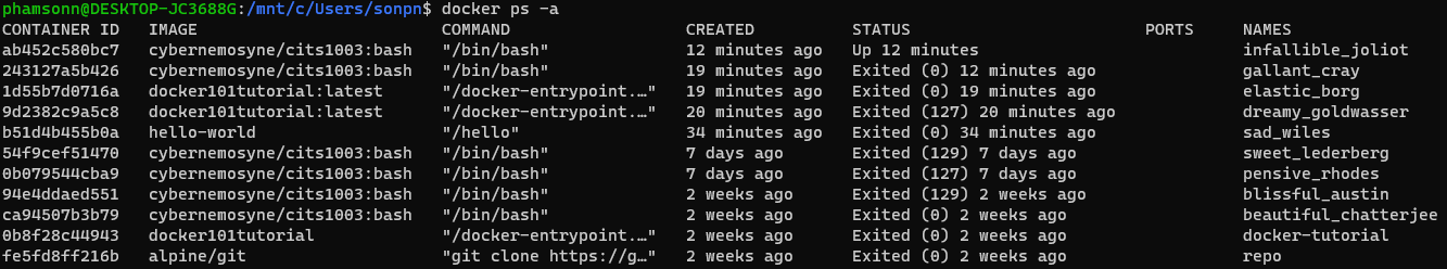 GitHub - son-n-pham/Docker