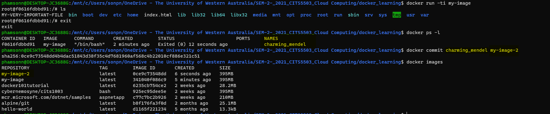 GitHub - son-n-pham/Docker