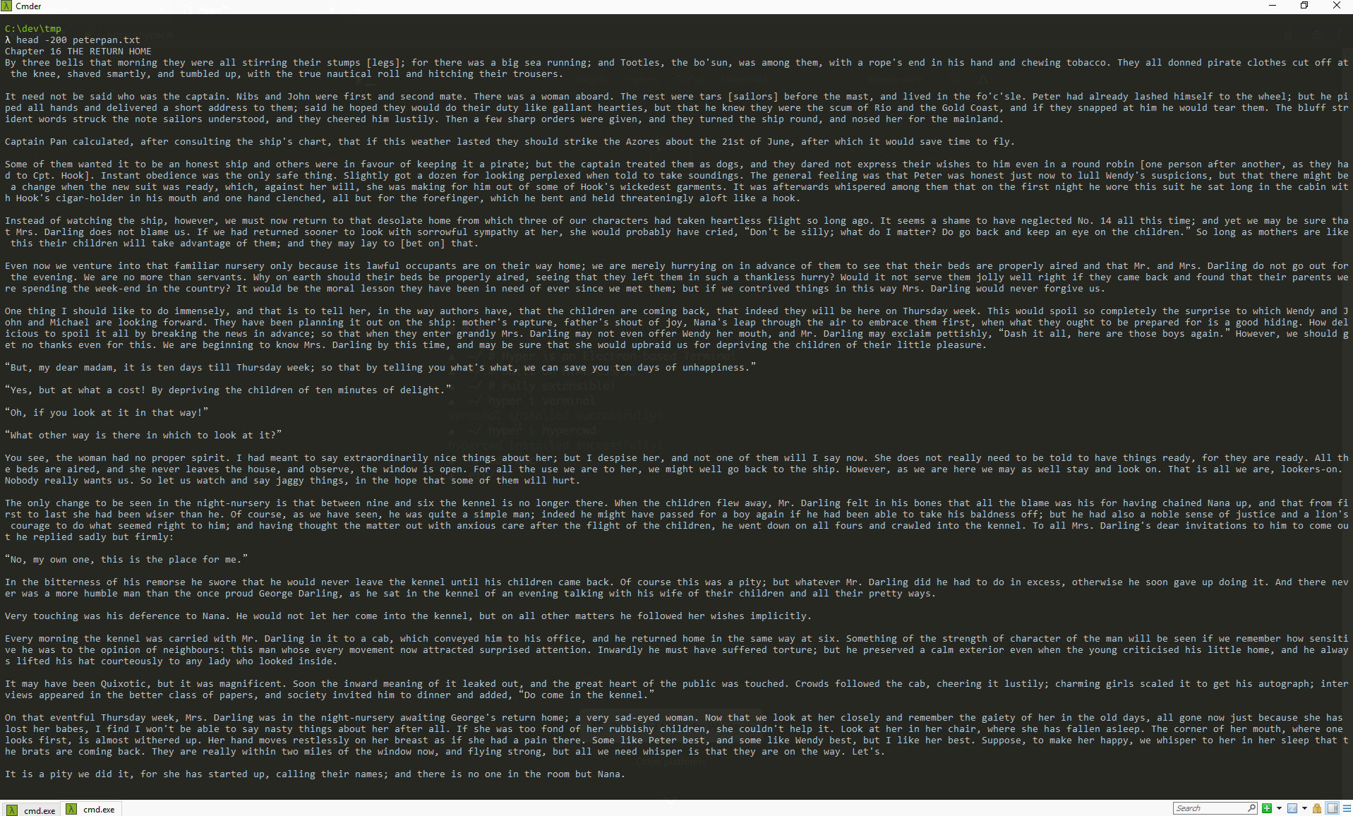 Pressing backspace while typing command clears the whole terminal · Issue #1844 · cmderdev/cmder ...