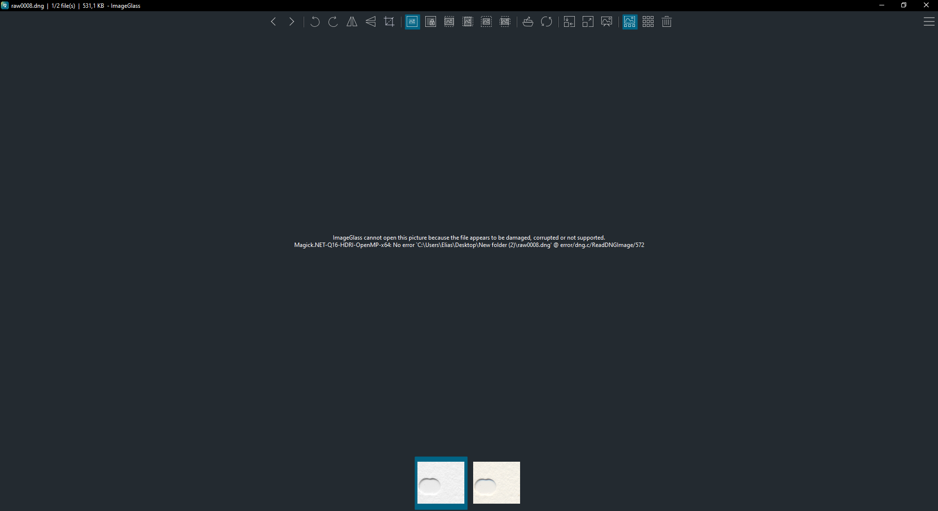 DNG Grayscale file not supported. (only single color channel?) [error ...