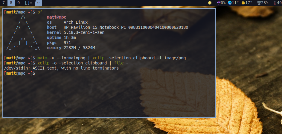 Can't take screenshots of st using maim in certain instances · Issue ...