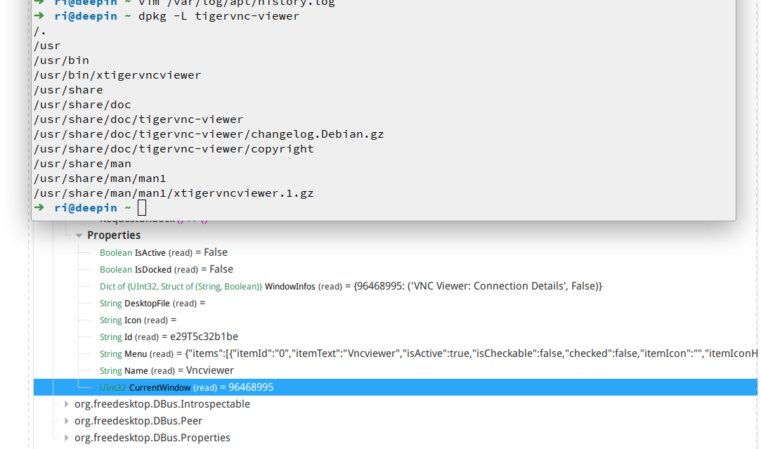 【15.9】运行 vncviewer后dock图标显示不正确 · Issue #768 · linuxdeepin/internal-discussion · GitHub