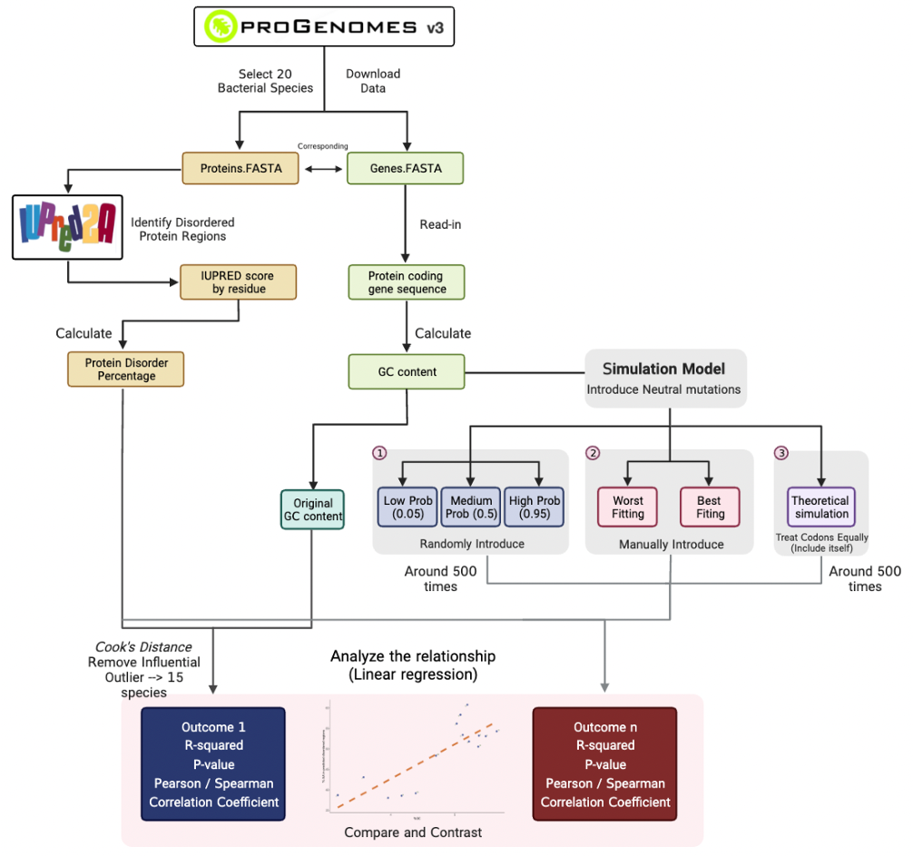 GitHub - HuangYutong2021/Simulation-of-GC-Content-Evolution