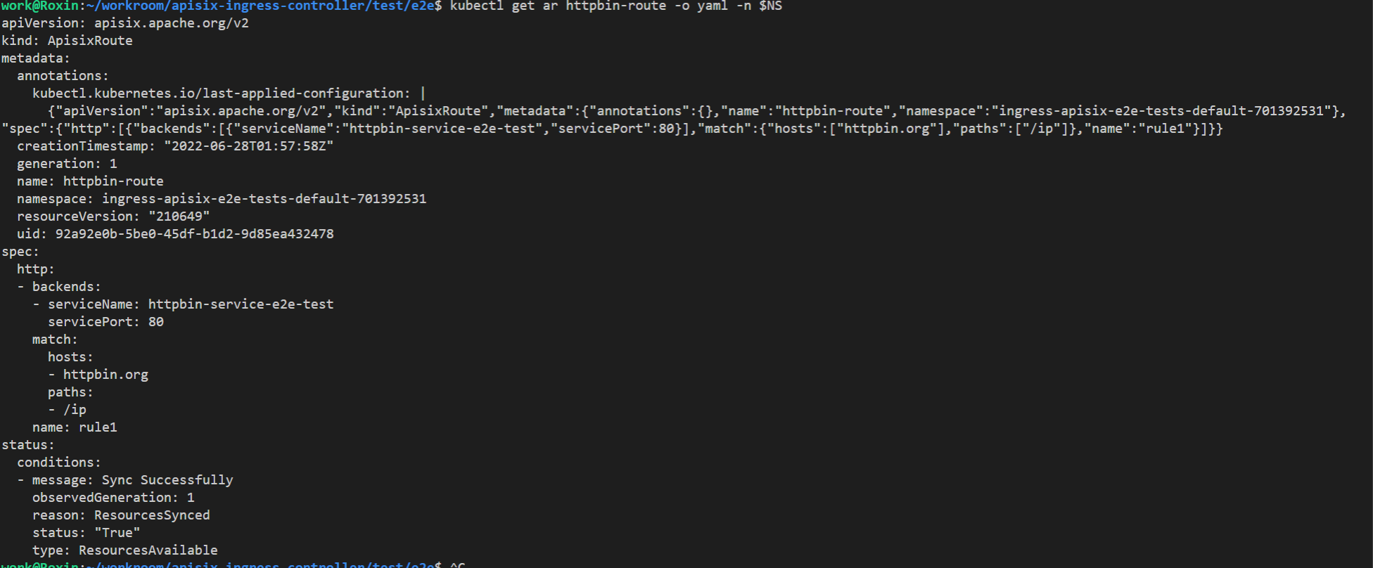bug: ApisixRoute v2 version resource is missing status information. · Issue #1108 · apache ...