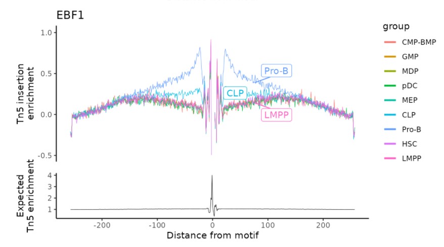 TF footprinting Analysis and Interpretation · stuart-lab signac ...