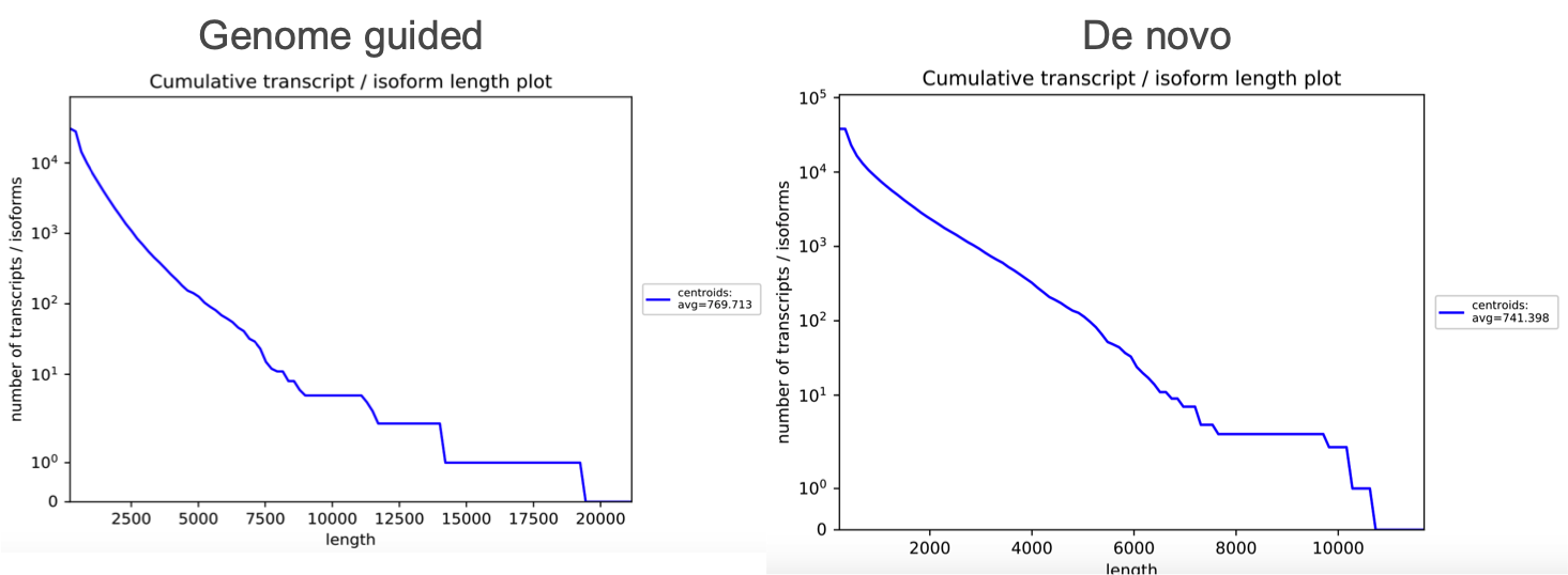 GitHub - nidhivijayan/ANG-transcriptome