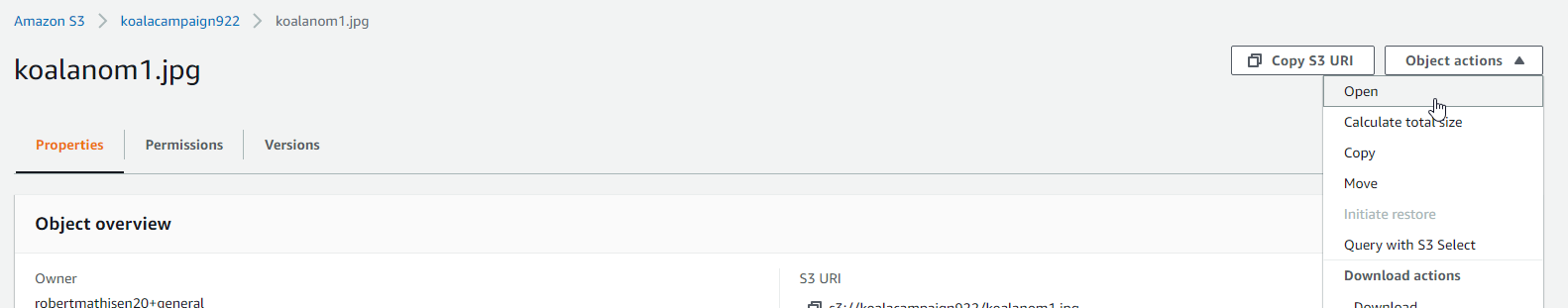 GitHub - rmathisen-aws/S3_Bucket