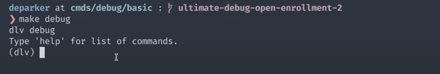 `dlv debug` fails with "could not launch process: stub exited while waiting for connection: exit ...