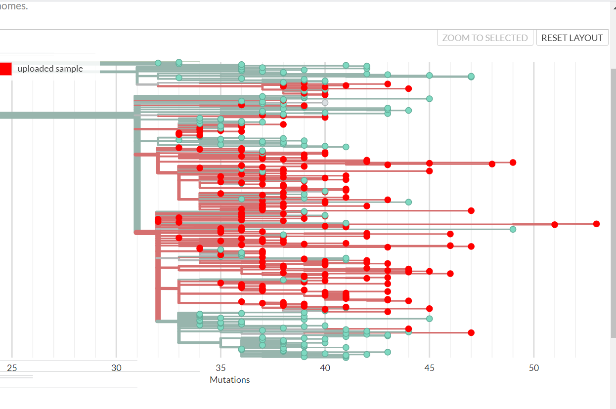 Issues with AY.12 classification with Pangolin · Issue #186 · cov-lineages/pango-designation ...