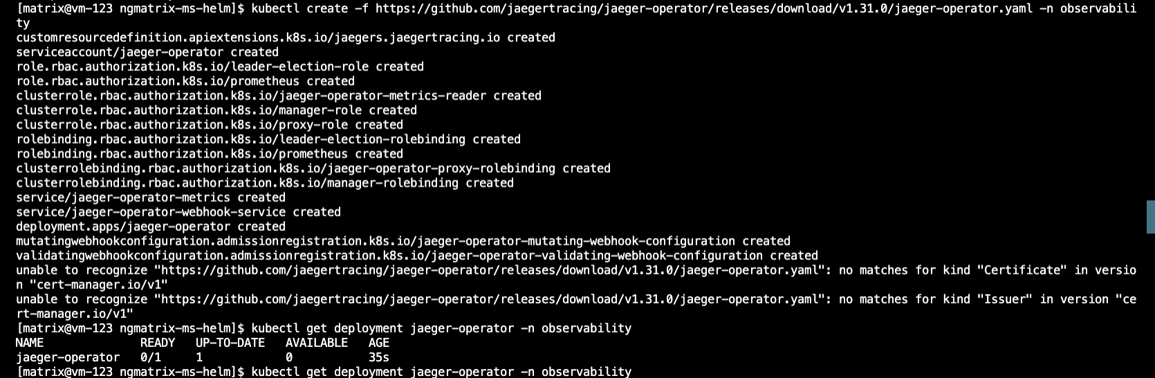 no matches for kind "Certificate" in version "cert-manager.io/v1" | no matches for kind "Issuer ...