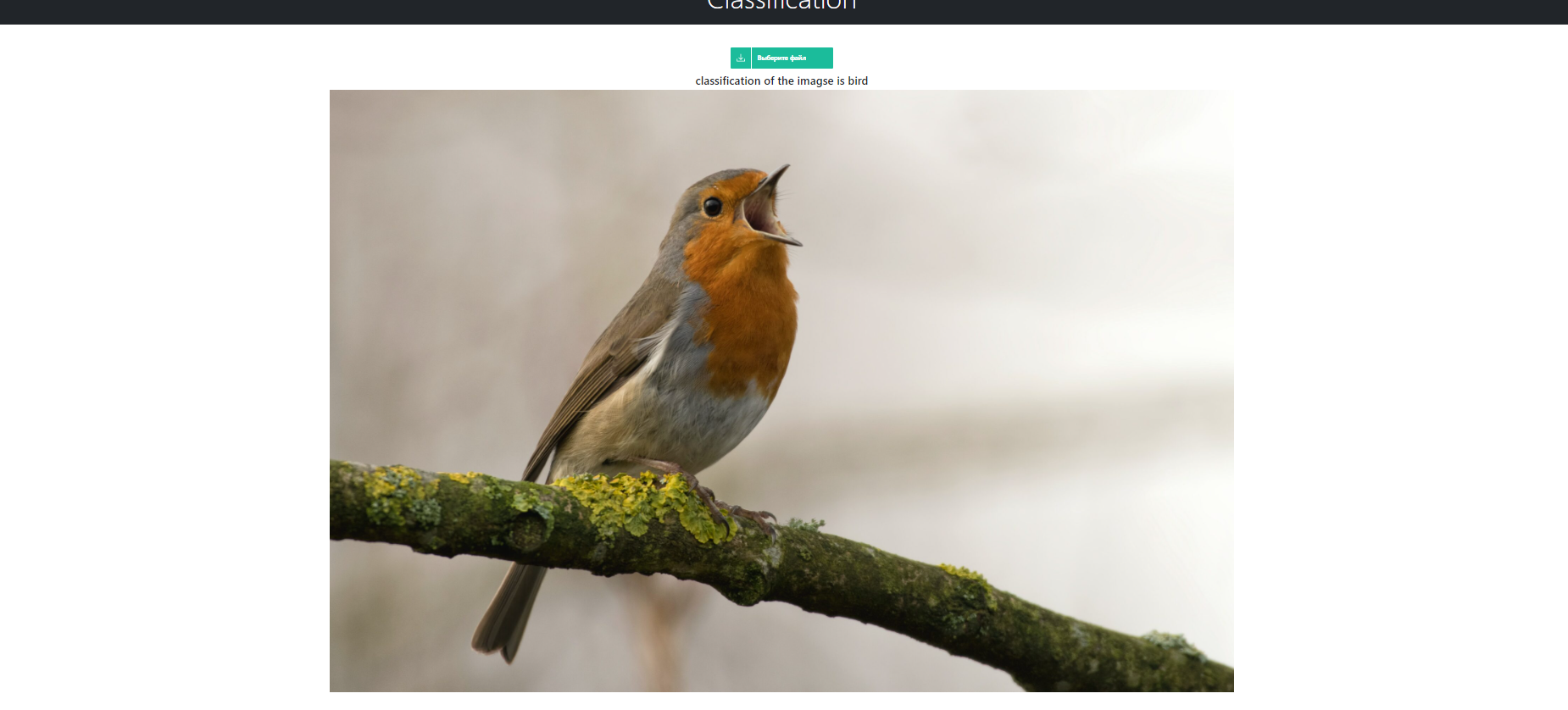 GitHub - kuka666/Classification-Image