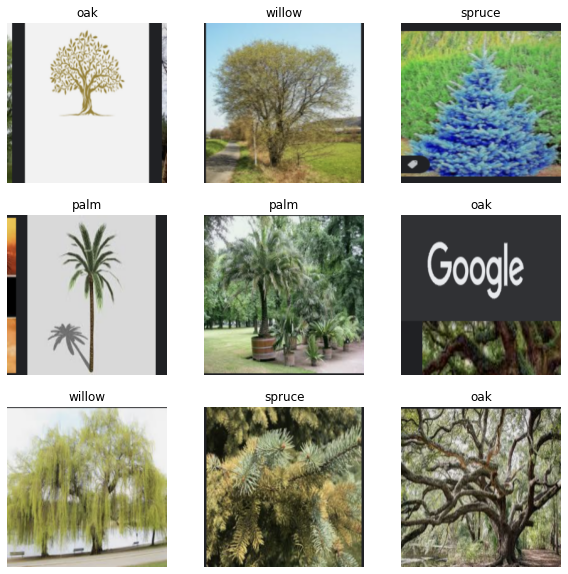 GitHub - ayyucedemirbas/tree_species_classification: Tree species ...