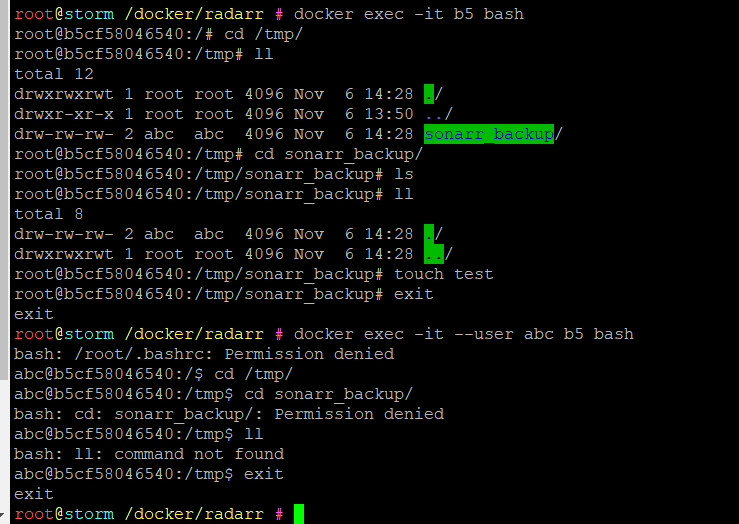 Error occurred while executing task Backup: Access to the path "/config/config.xml" or "/tmp ...