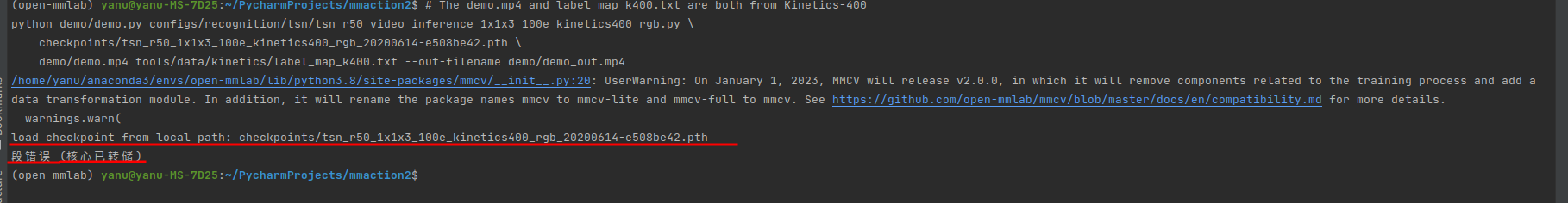 load checkpoint from local path: checkpoints/tsn**42.pth 段错误 (核心已转储) · Issue #2100 · open-mmlab ...