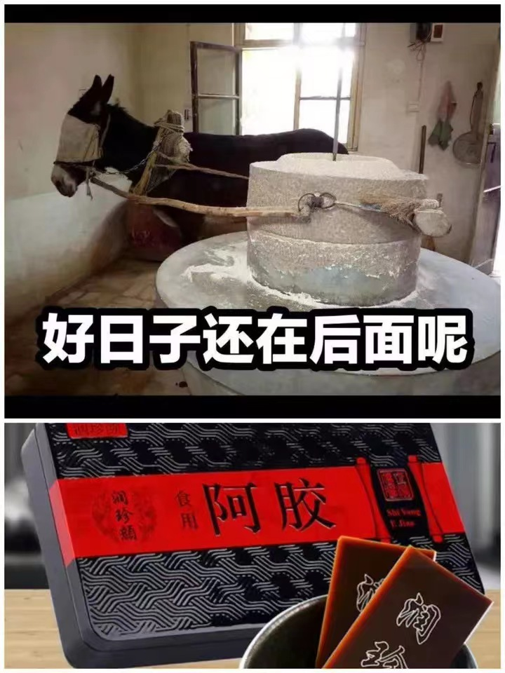 starfire/图片.md at main · Alice-James/starfire · GitHub